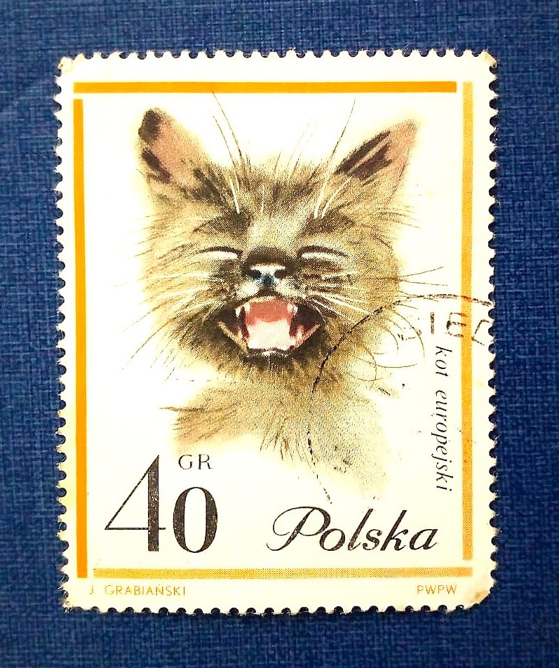 Cat on postage Stamps - My Hobby Portal